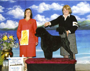 Aviator Kennel - Ladybug 2009