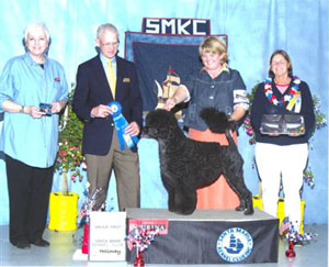 Aviator Kennel - Ladybug 2009