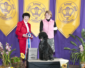 Aviator Kennel - Ladybug 2009