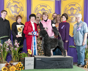 Aviator Kennel - Ladybug 2009