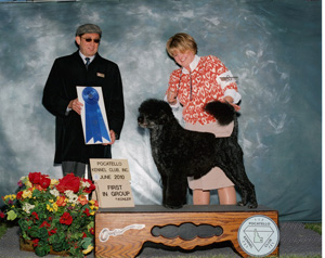 Aviator Kennel - Ladybug 2009