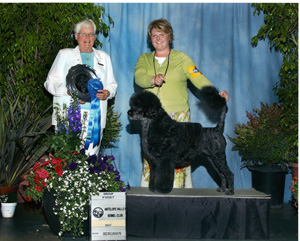 Aviator Kennel - Ladybug 2009