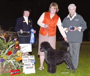 Aviator Kennel - Ladybug 2009